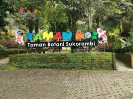 15 Wisata Jember Terbaru yang Lagi Hits dan Murah! - Dewatiket