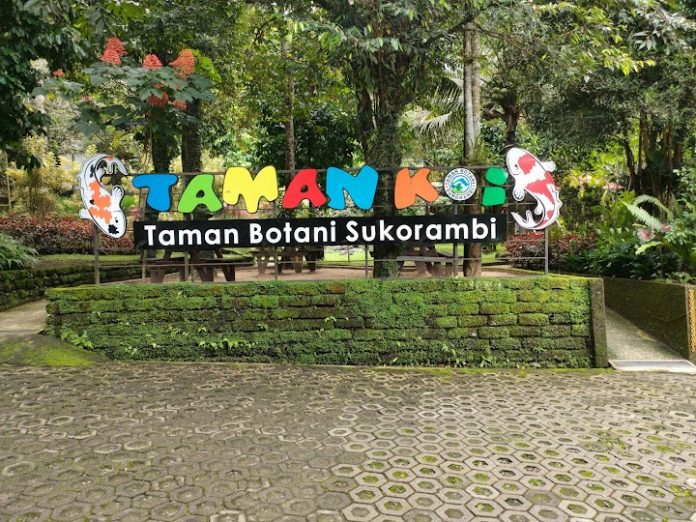 15 Wisata Jember Terbaru yang Lagi Hits dan Murah! - Dewatiket