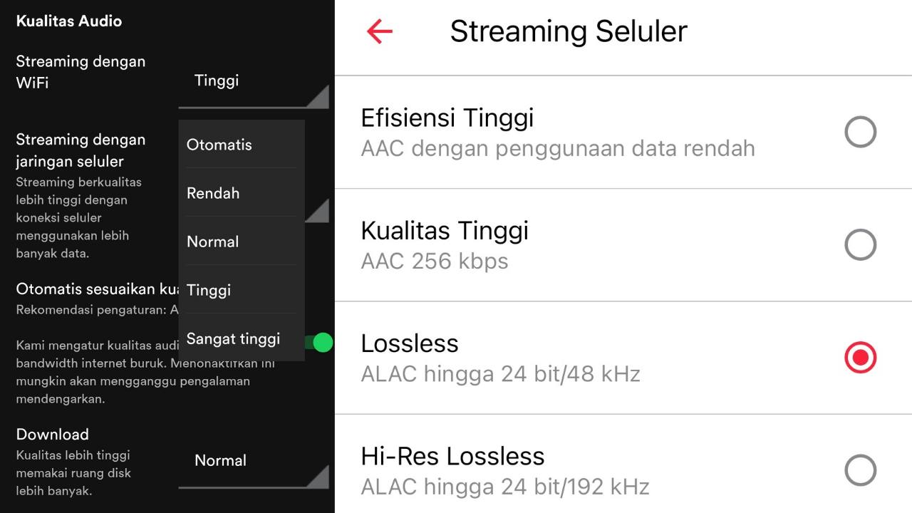 Perbandingan Apple Music vs Spotify: Mana yang Paling Worth It? - Dewatiket