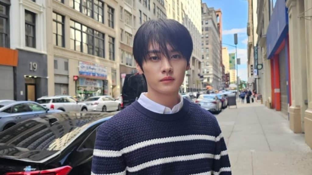 Profil dan Biodata Member Stray Kids Terbaru yang Lagi Viral - Dewatiket